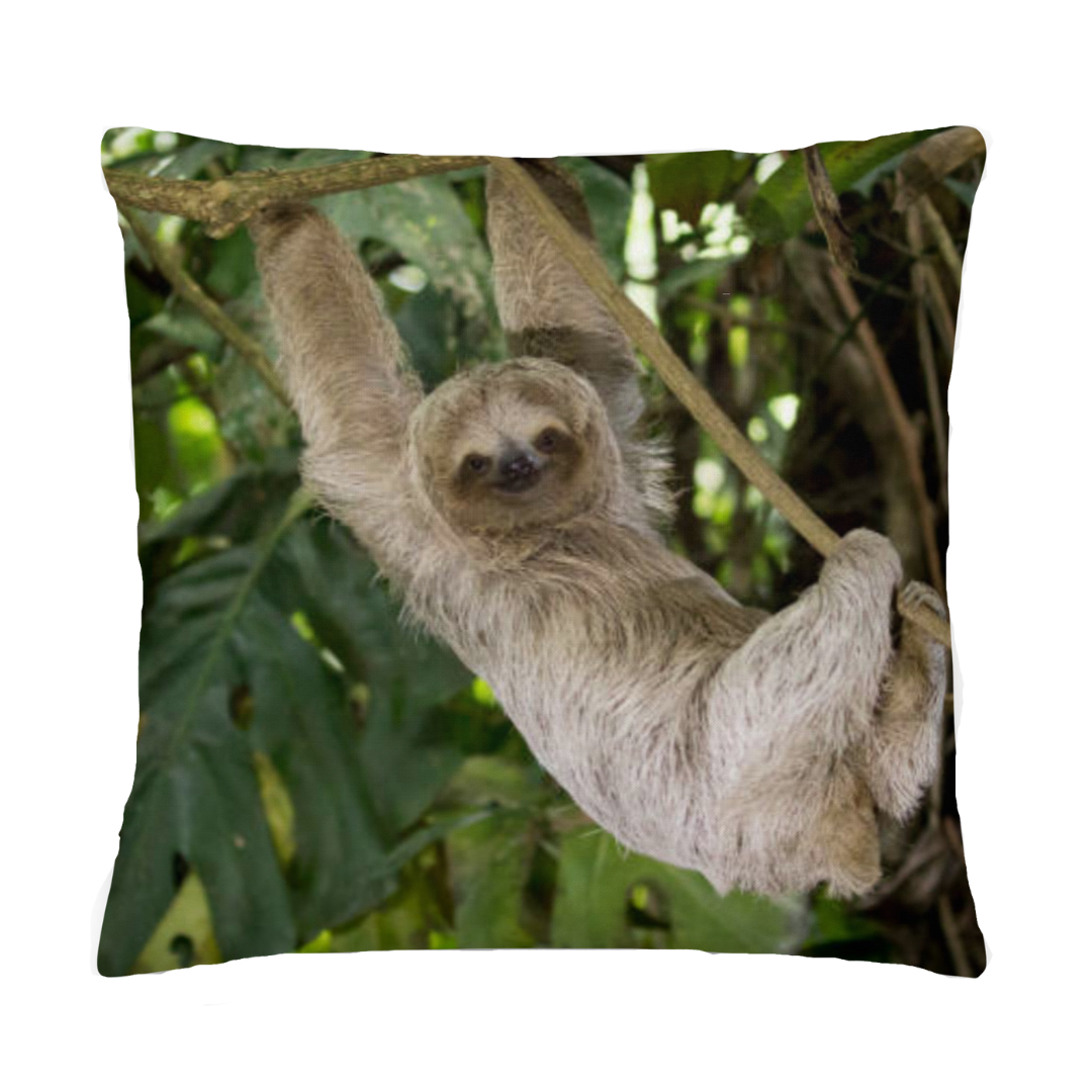Sloth Decorative Pillow – Peculiar Pillow